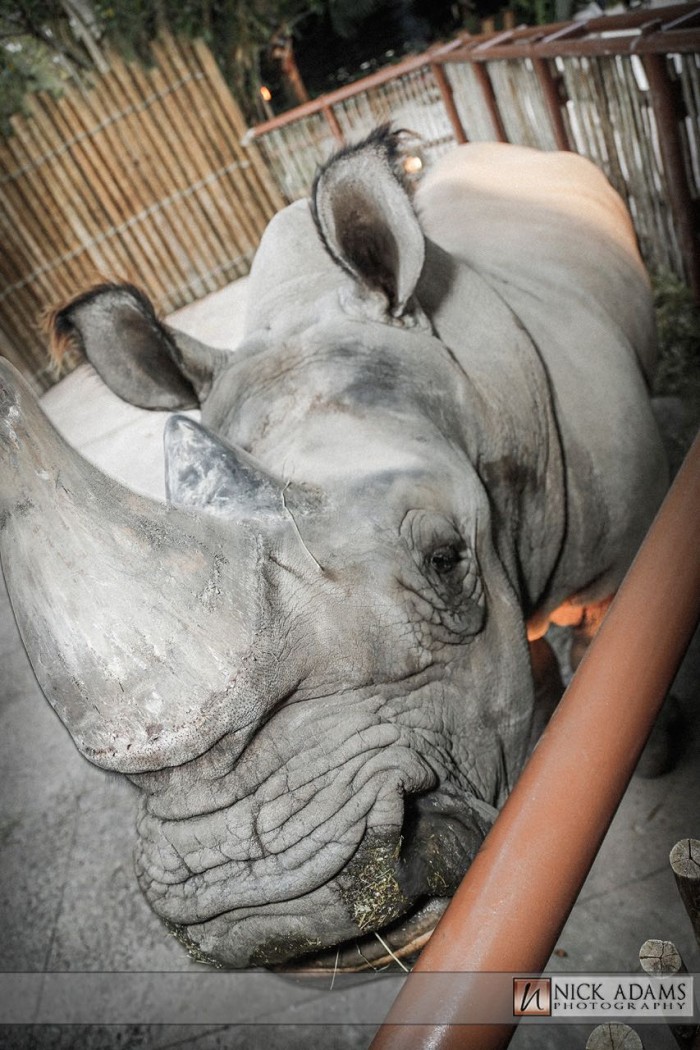 NGALA® | Corporate Off-Site Event Venue Naples, Florida